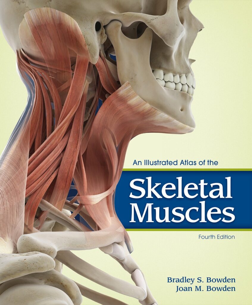An Illustrated Atlas of the Skeletal Muscles » eTextZone.com